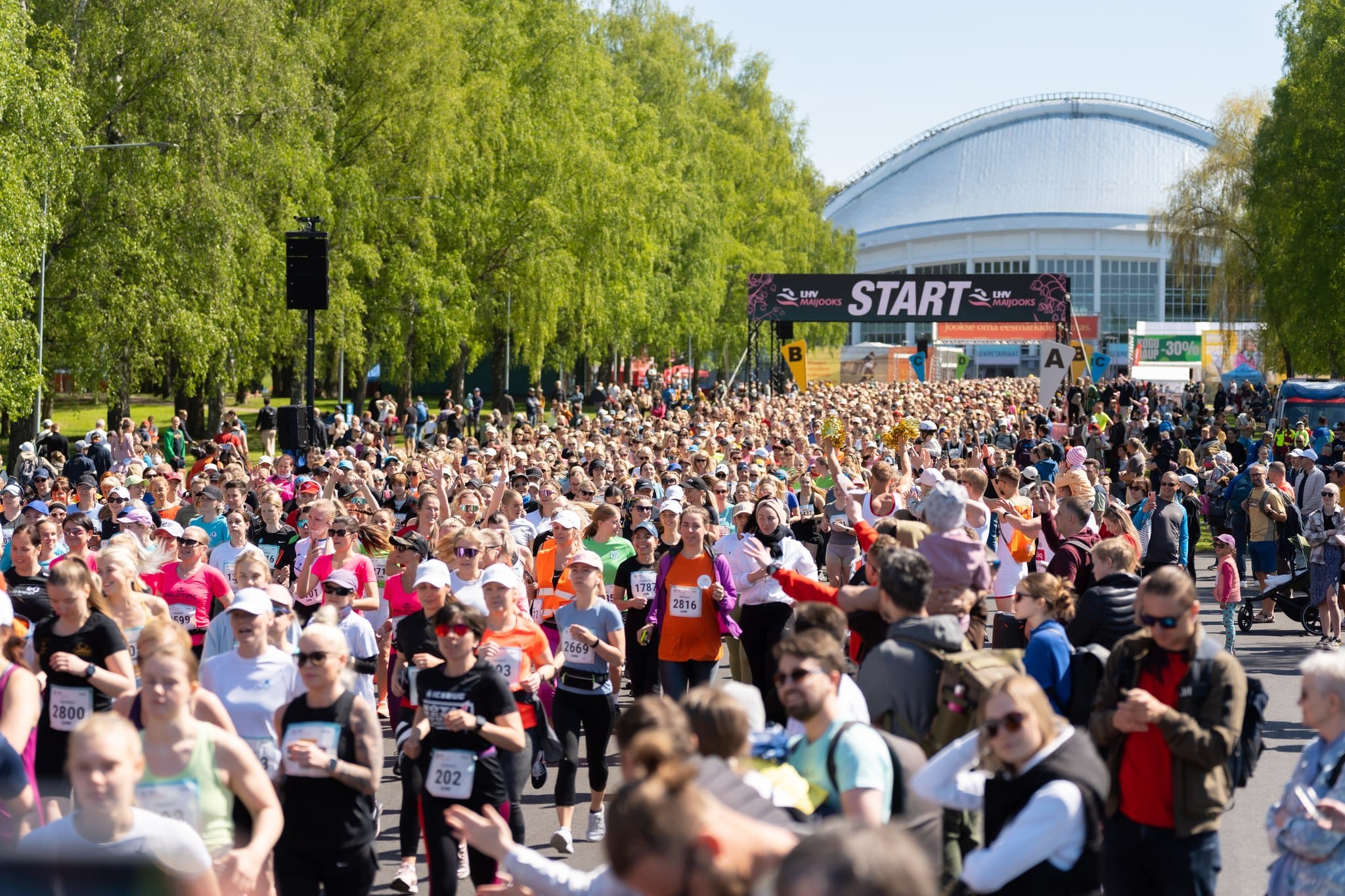 LHV May Run screen solutions - Portfolio